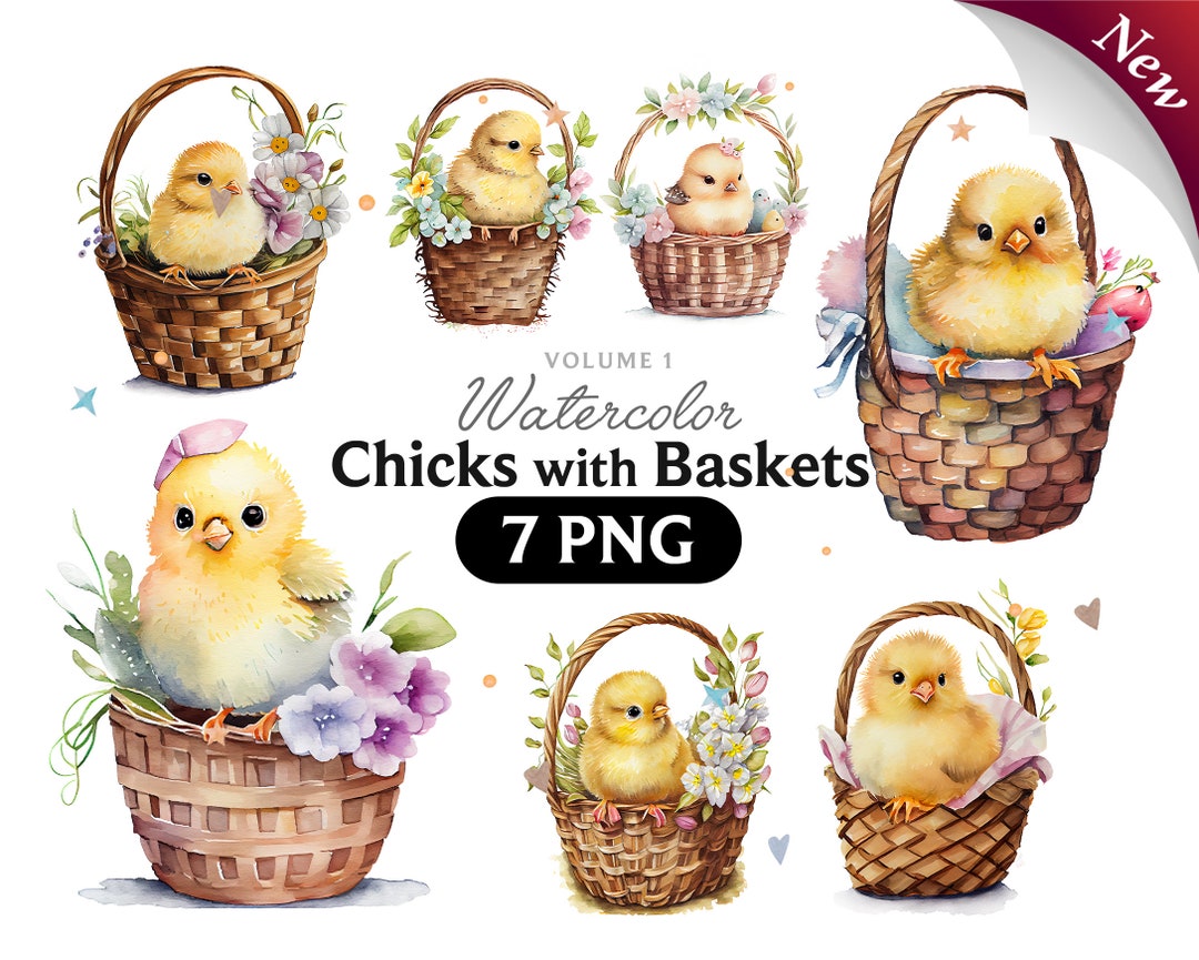 Chicks With Baskets, Watercolor Chicks, Chicks Clipart, Chicks PNG ...
