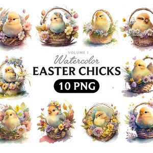 Easter Chicks Clipart Bundle, Easter Png, Cute Baby Chickens, Easter ...