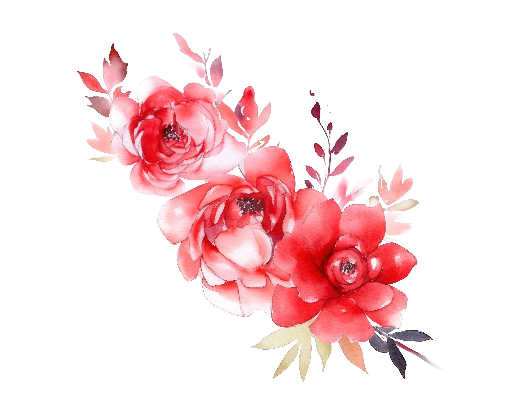 Watercolor Red Flower Clipart: 26 PNG Floral Illustrations (digital ...