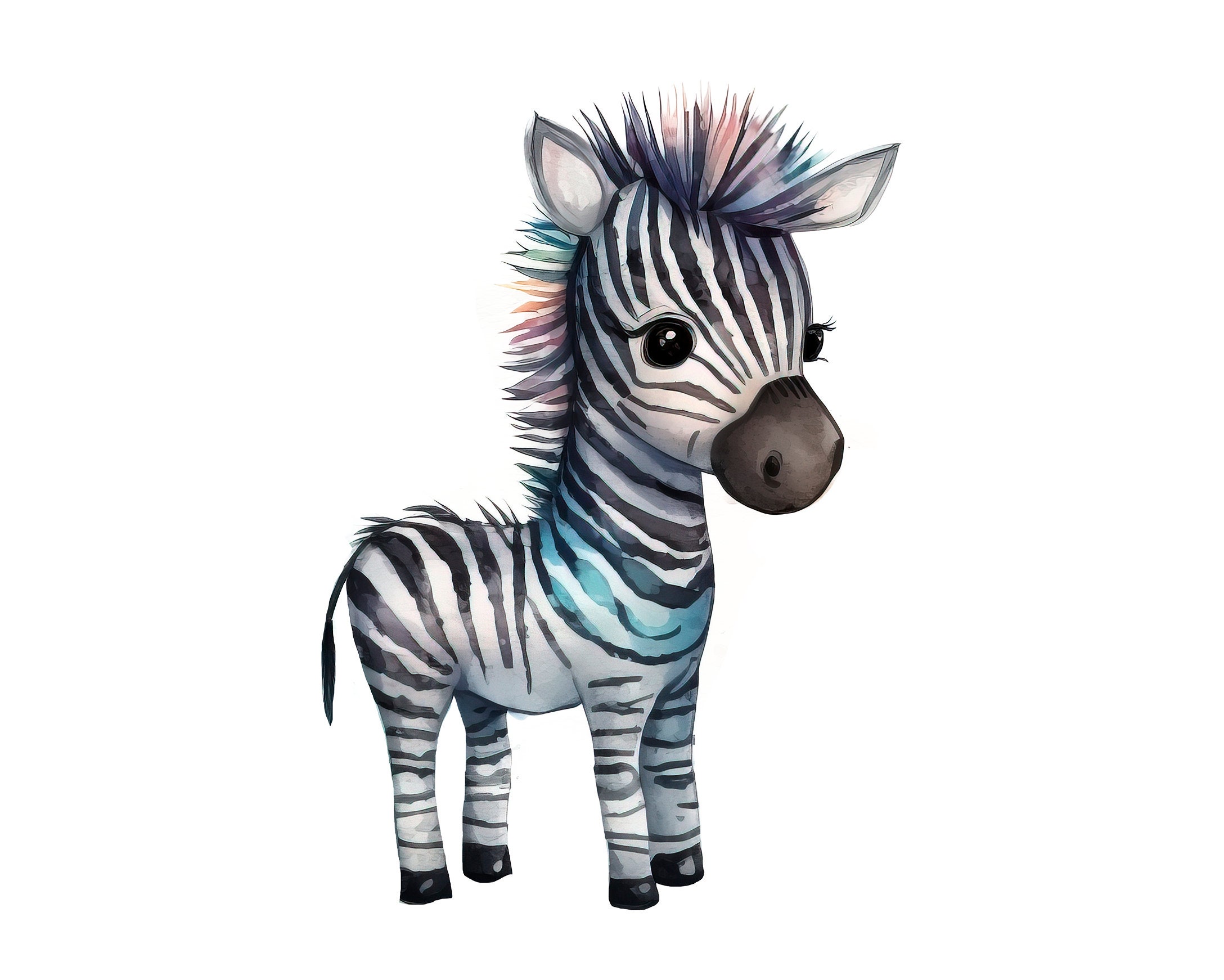 Zebra Clipart Cute Zebra Png Watercolor Zebra Zebra PNG - Etsy Australia