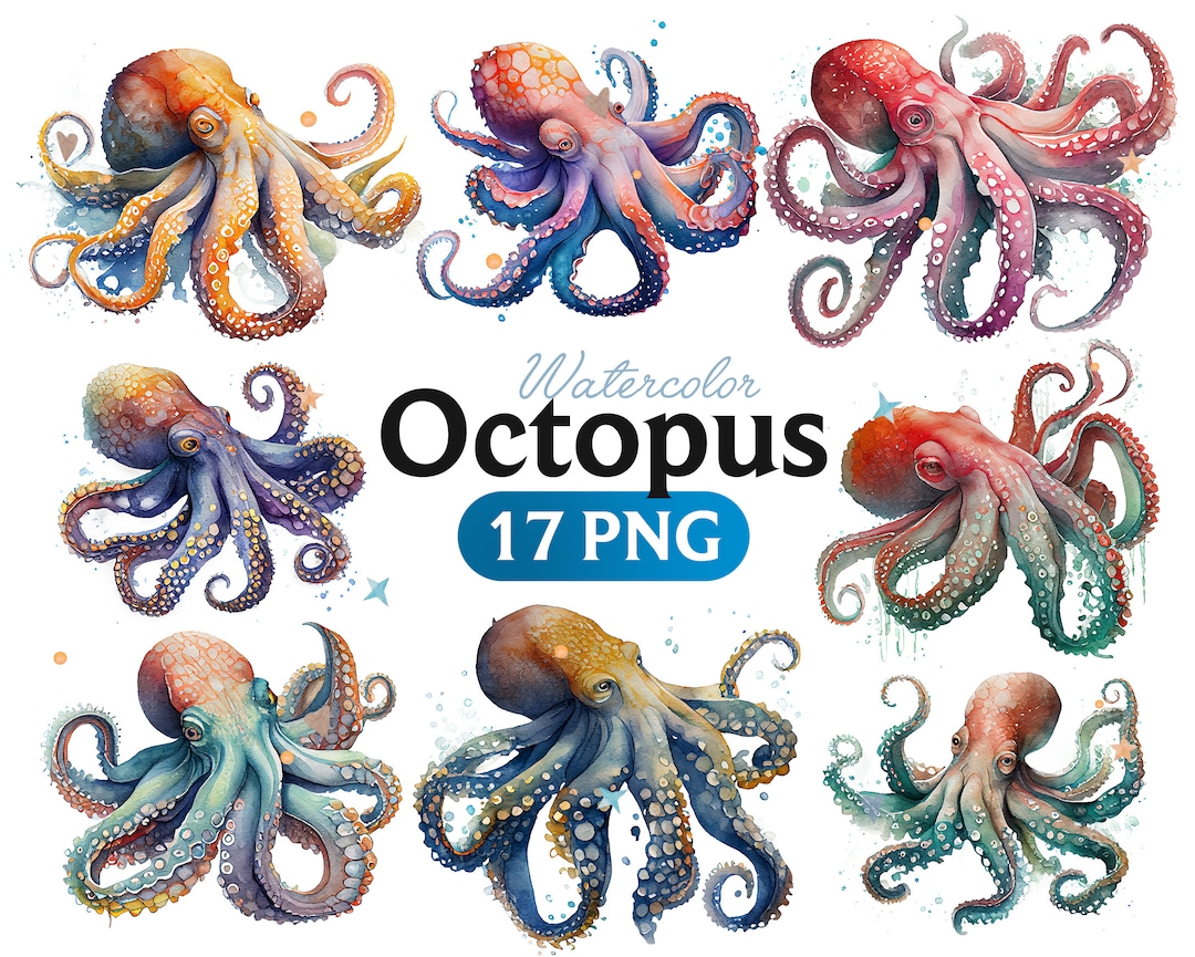 Octopus Watercolor Clipart Bundle, Octopus, Octopus Png, Octopus ...