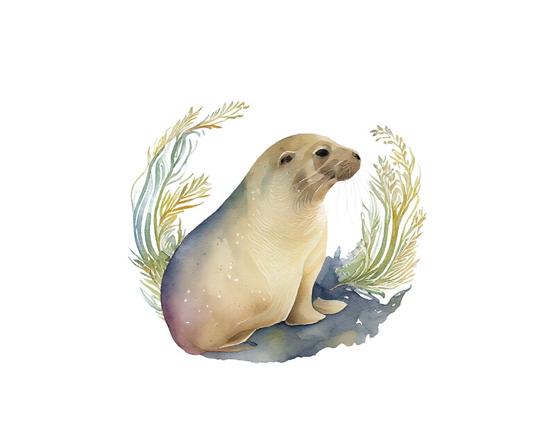 Seal Watercolor Clipart Seal PNG Cute Baby Shower Graphics - Etsy