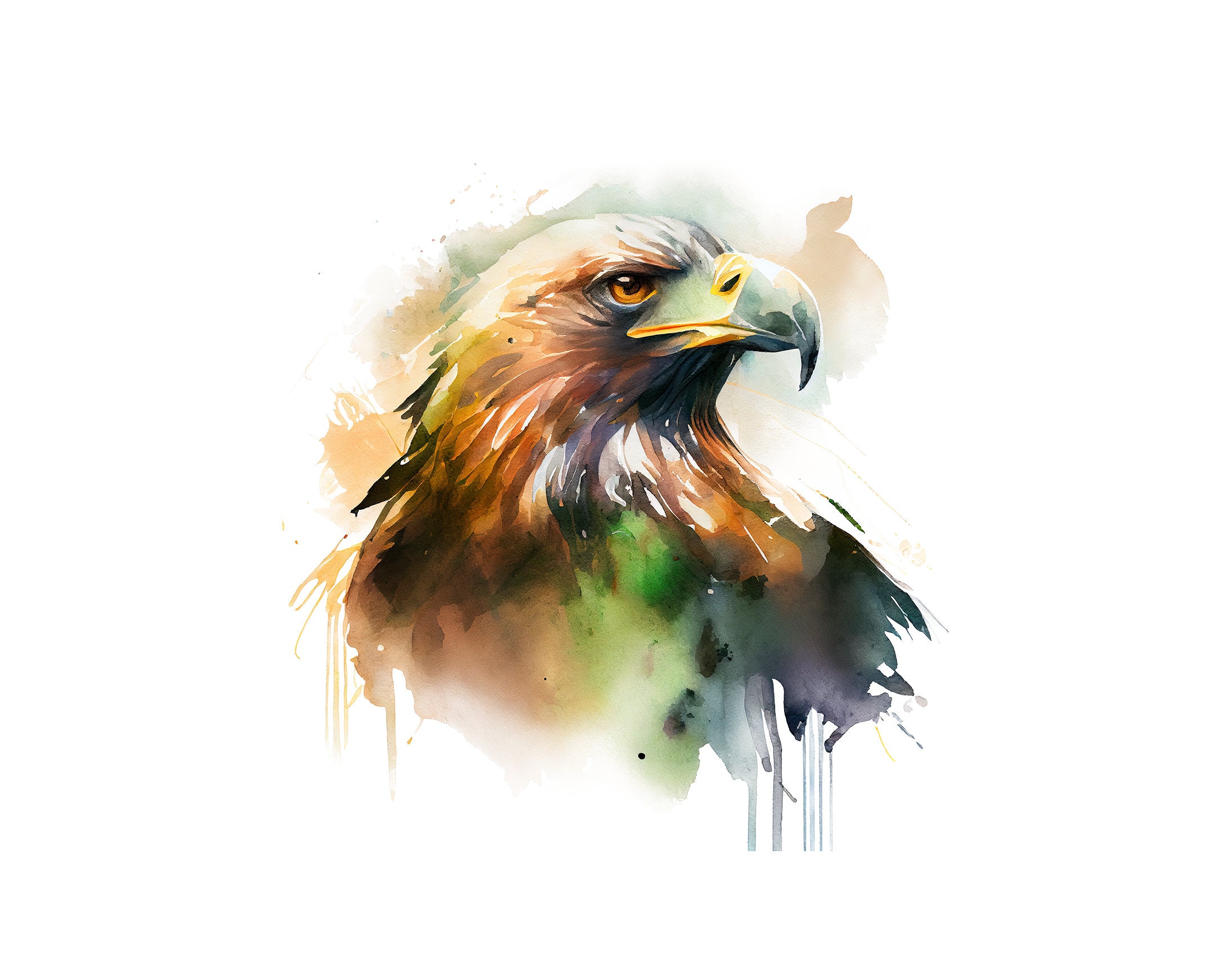 Eagle Watercolor Eagle Clipart Eagle Png Watercolor Eagle - Etsy Australia