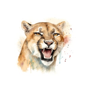 Puma Watercolor PNG Clipart, Puma Portrait PNG Watercolour - Etsy