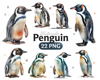 Penguin Watercolor Clipart Arctic Winter Animal Penguin - Etsy