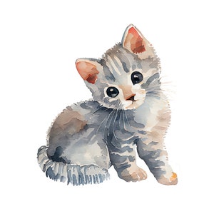 Watercolor Cats Clipart,cat Clipart, Cute Kittens, Fluffy Cats ...