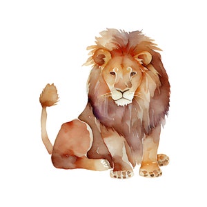 Watercolor Lion Clipart: 20 Animal PNG Images (digital Download) - Etsy