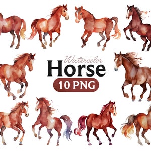 Horse PNG, Horse Clipart Set, Watercolor Horse, Western Clipart, Farm ...