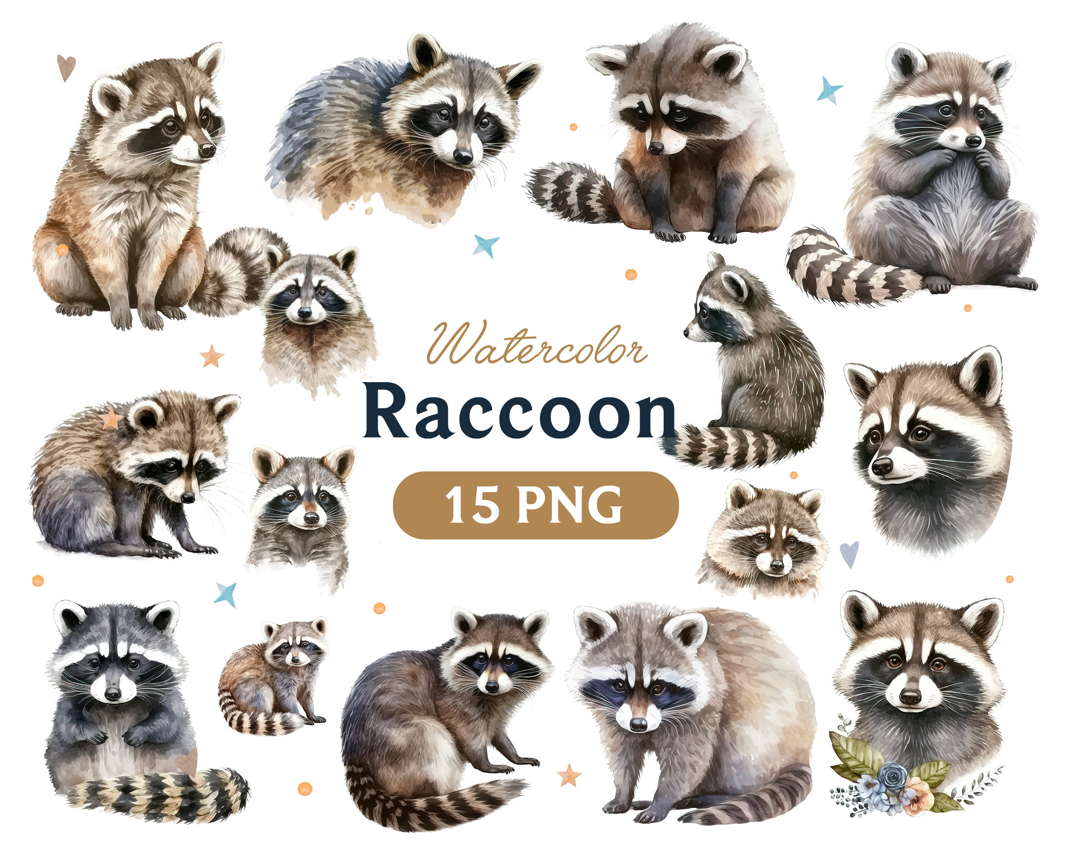 Watercolor Raccoon Raccoon Clipart Raccoon Animal Raccoon - Etsy