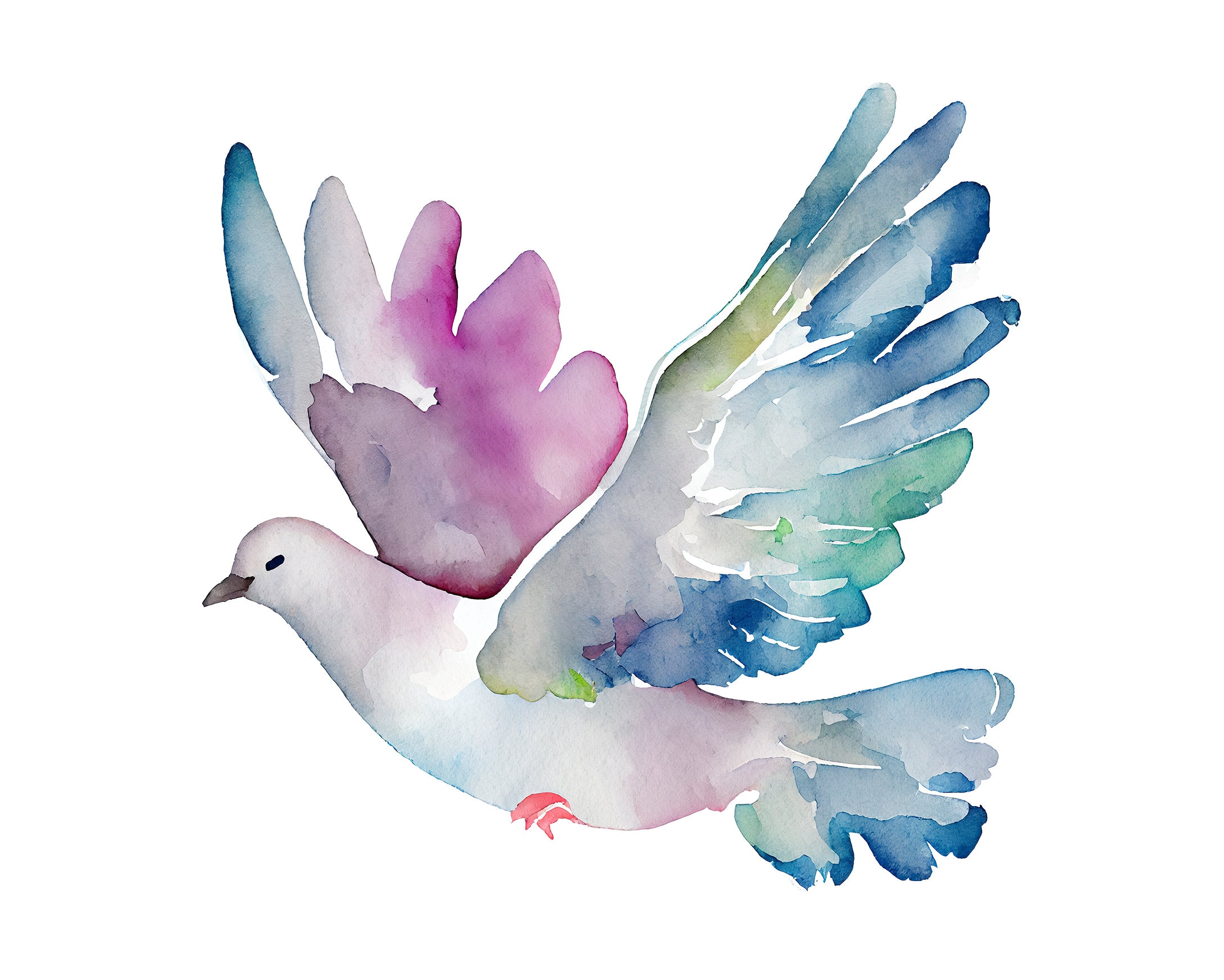 Watercolor Dove Clipart Summer Bird Clip Art Romantic Doves - Etsy
