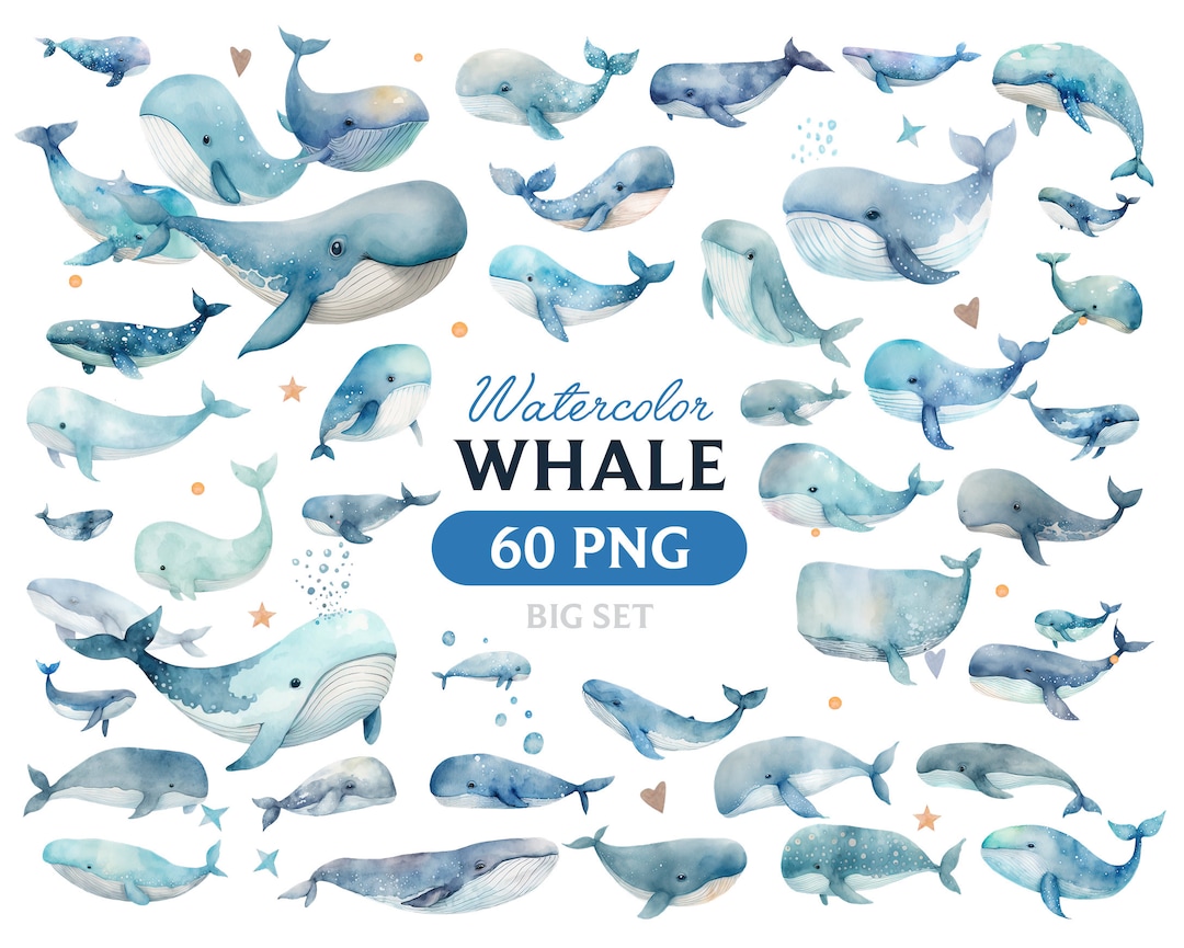 Watercolor Whale Clipart: 60 PNG Whale Art (digital Download) - Etsy