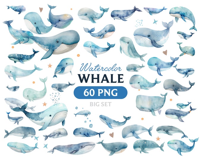 Whale Clip Art, Watercolor Whales Painted by Hand, Ocean Clip Art, 21 ...