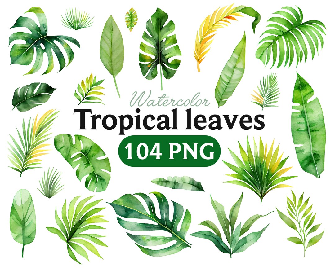 Tropical Leaves, Watercolor Tropical Leaves Clipart, Monstera Leaves ...