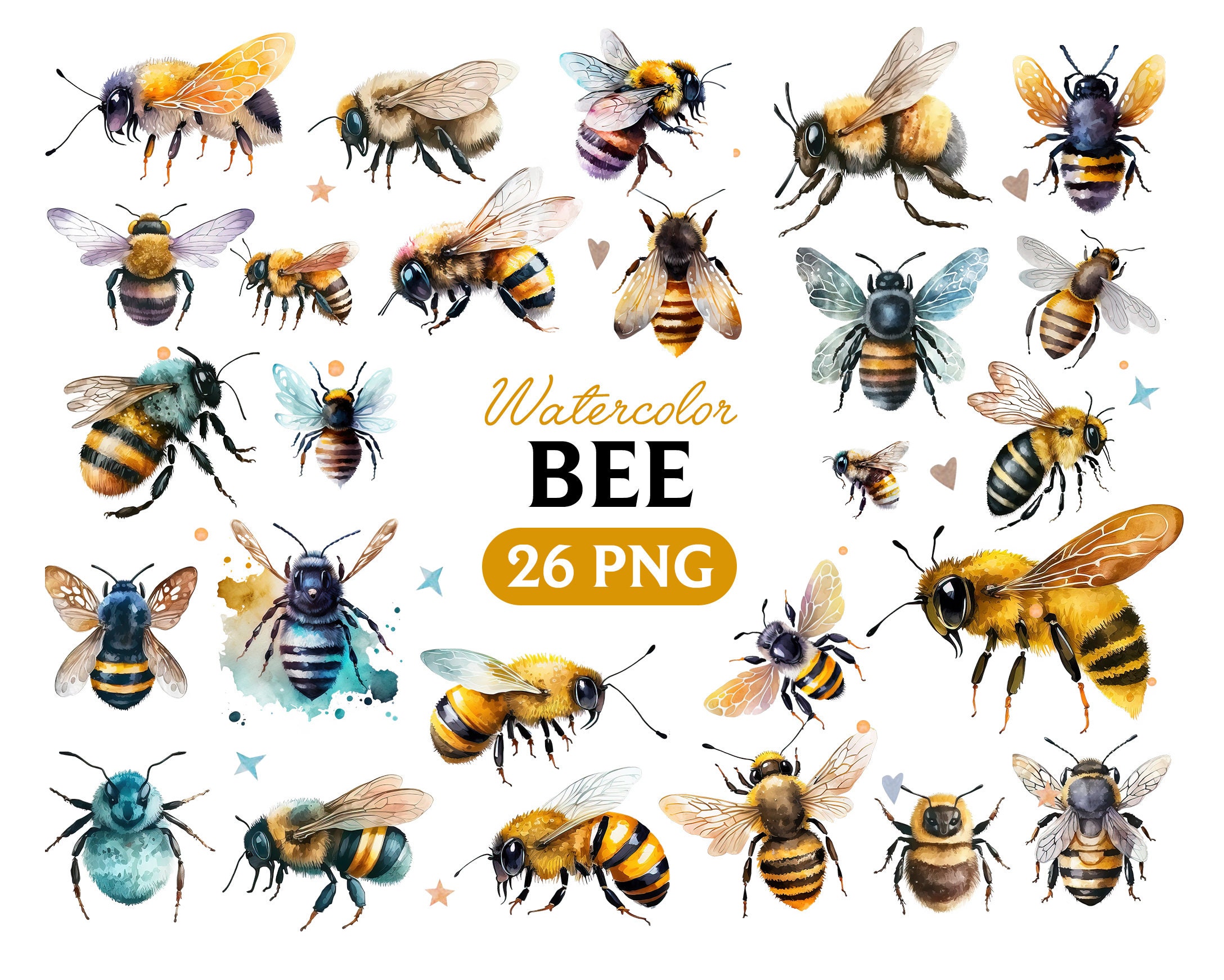 Watercolor Bee Bee Clipart Bee PNG Bee Art Bee Digital - Etsy Canada