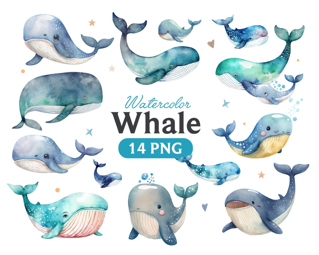 Watercolor Whale Clipart: 14 PNG Art Images (digital Download) - Etsy