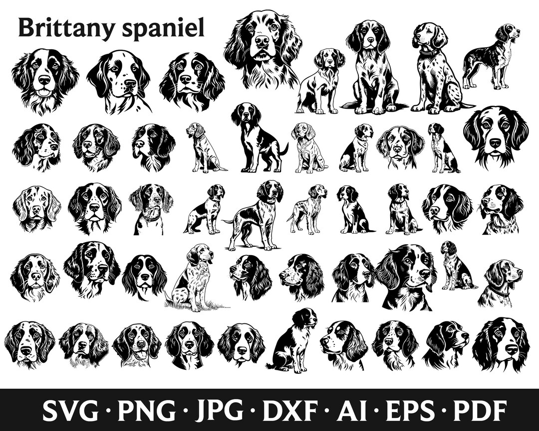 Brittany Spaniel, Dog Silhouette Svg, Dog Clipart, Dog Svg Files for ...