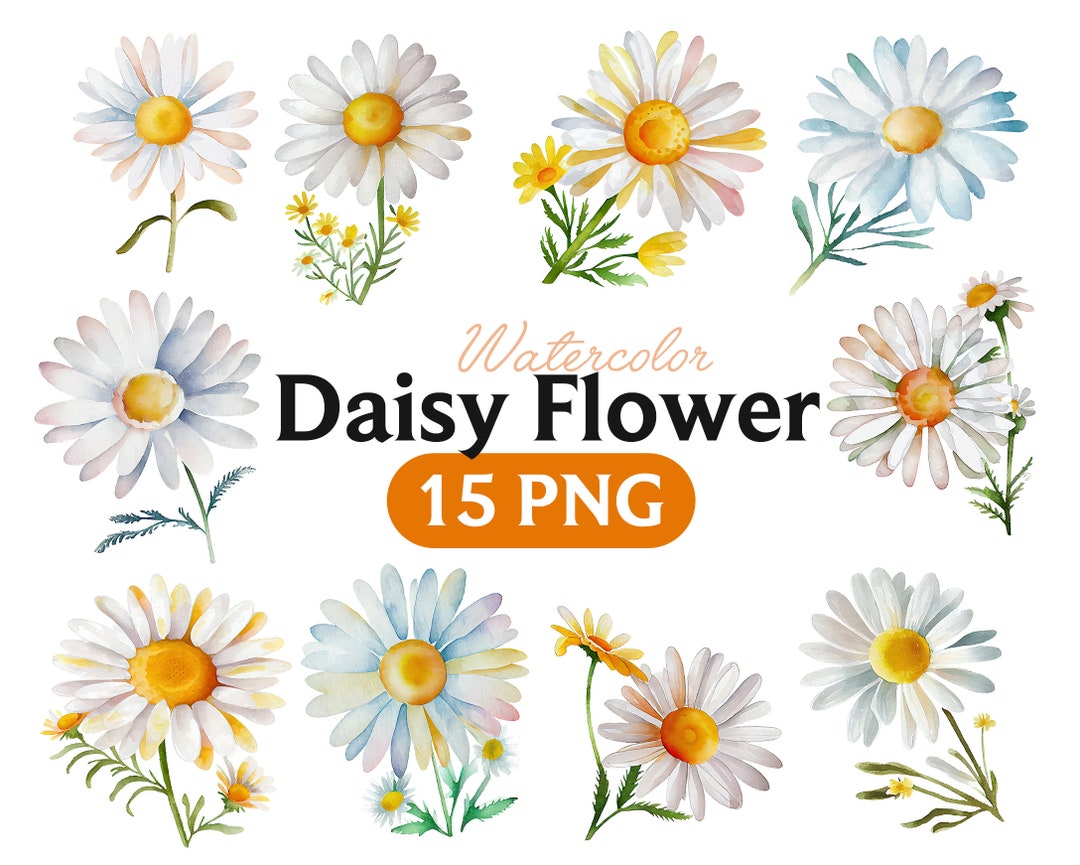 Watercolor Daisy Bouquets Clipart, Summer Floral Clipart, Chamomile ...