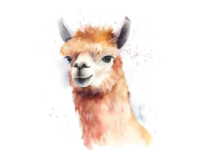 Watercolor Alpaca Clipart Farm Animals PNG Nursery Wall Art - Etsy