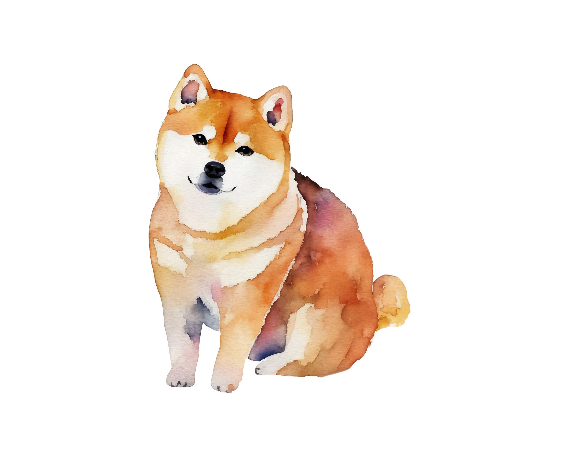 Shiba Inu Clipart Shiba Inu Watercolor Shiba Inu Png Puppy - Etsy