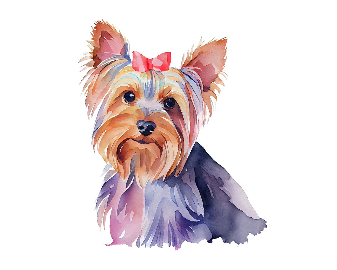 Yorkshire Terrier Clipart Yorkshire Terrier Watercolor - Etsy