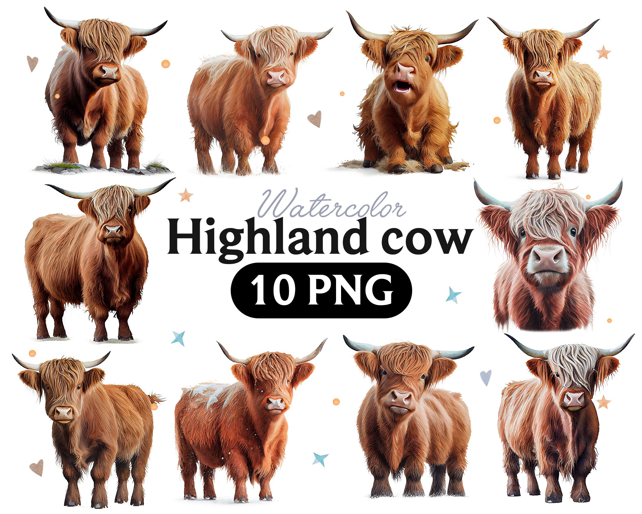 Highland Cow PNG Cow Watercolor Clipart Farm Animal PNG - Etsy
