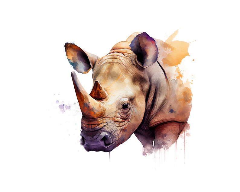 Rhino Watercolor Rhino Clipart Rhino Decor Wall Art Rhino - Etsy