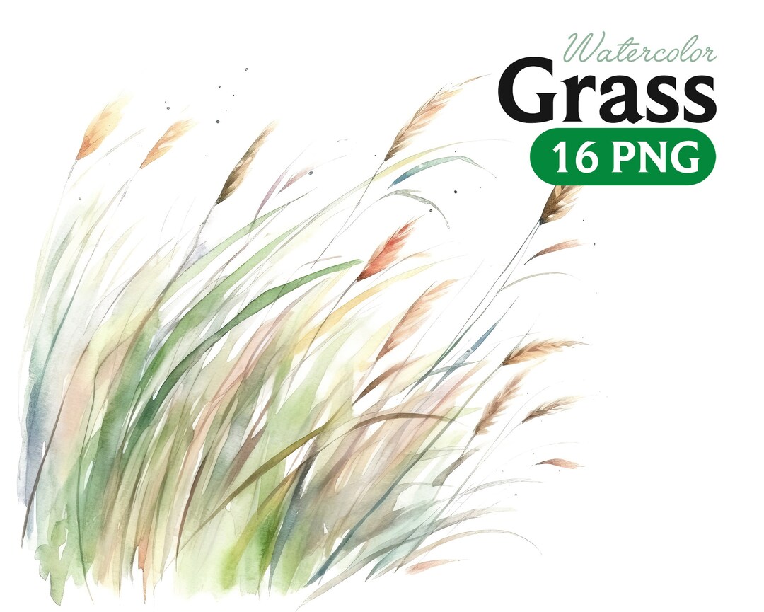 Watercolor Grass Clipart: Botanical Spring Tufts (16 PNG) (digital ...