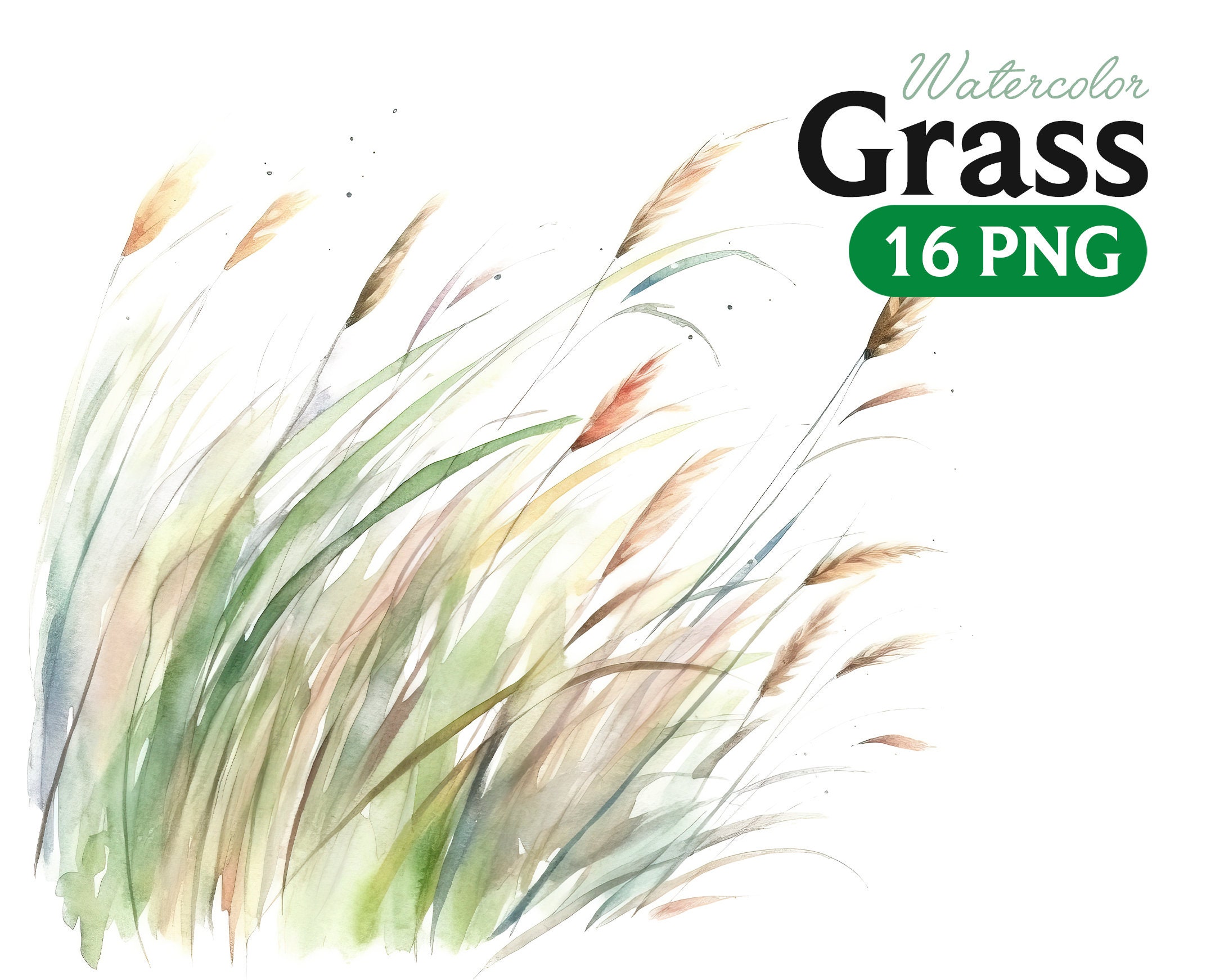 Watercolor Grass Clipart Spring Tufts of Grass Botanical PNG - Etsy