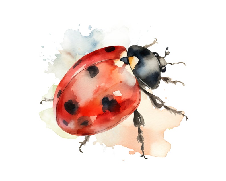 Ladybug Watercolor Clipart Illustration PNG - Etsy