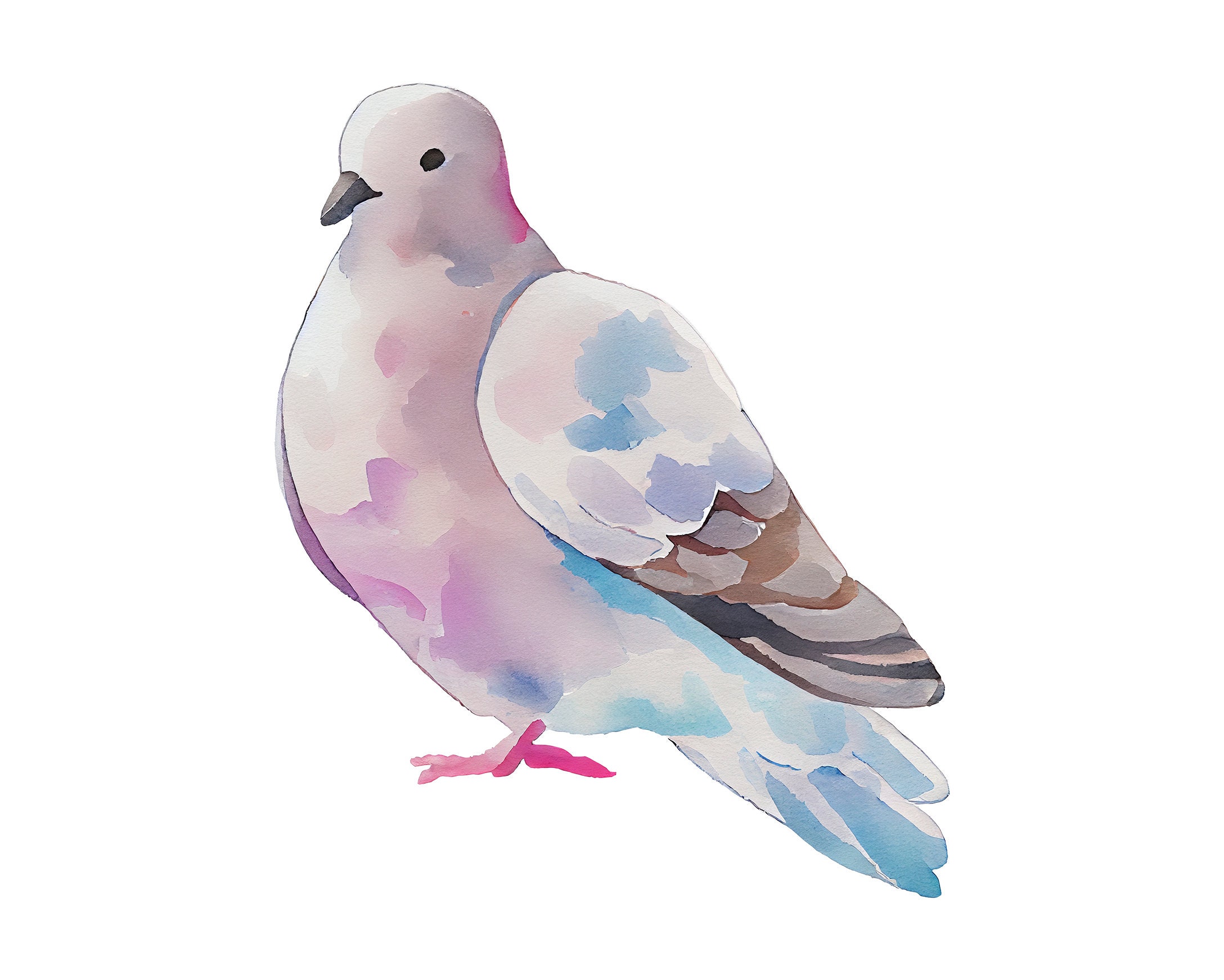 Watercolor Dove Clipart Summer Bird Clip Art Romantic Doves - Etsy