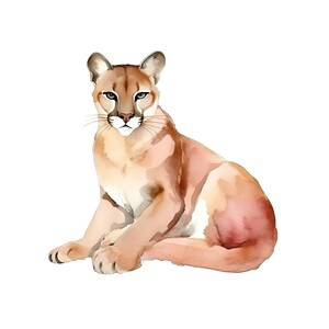 Puma Watercolor PNG Clipart, Puma Portrait PNG Watercolour - Etsy