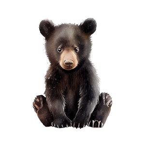 Black Bear Watercolor Clipart, Cute Black Bear Graphics, Nursery Decor ...