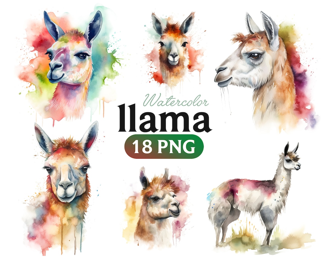 Llama Watercolor, Llama PNG, Llama Clipart, Animal - Etsy