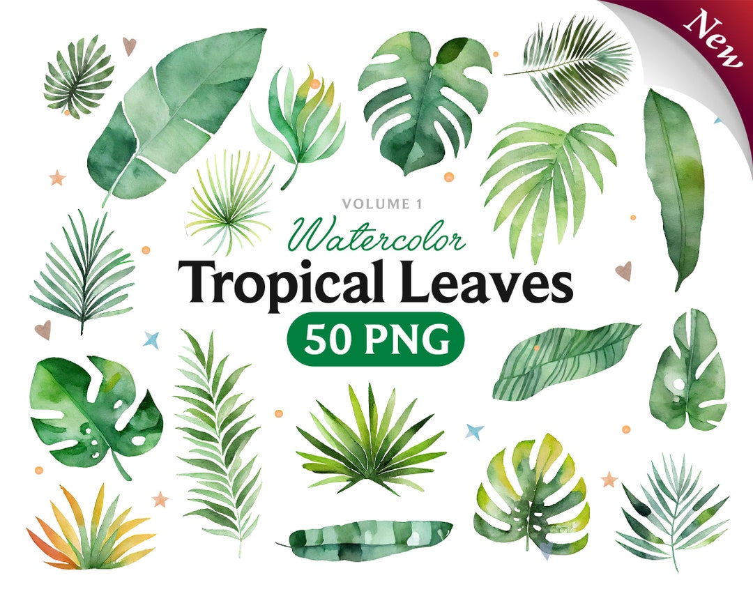 Watercolor Tropical Leaves Clipart, Monstera Leaves Clipart, Tropical ...