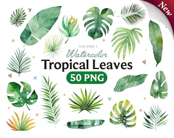 Watercolor Tropical Leaves Clipart, Monstera Leaves and Lush Tropical ...