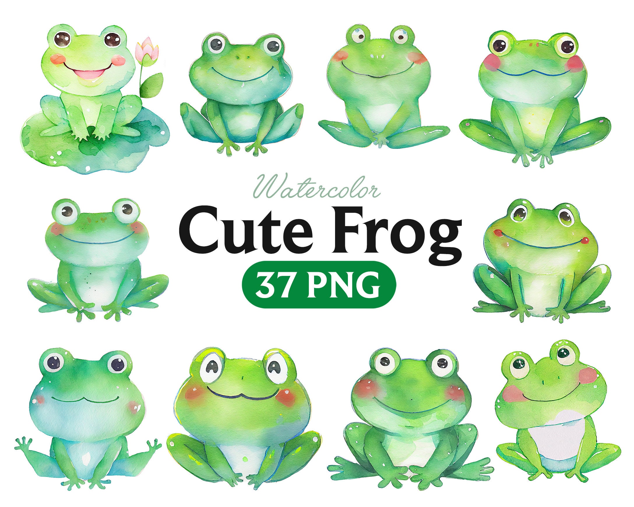Watercolor Frog Frog Clipart Frog PNG Frog Clipart Frog - Etsy