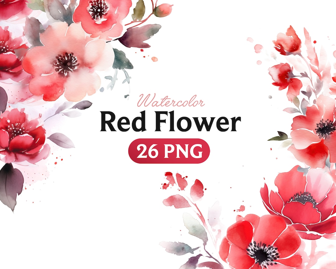 Watercolor Red Flowers PNG, Watercolor Flower Clipart, Red Flowers ...
