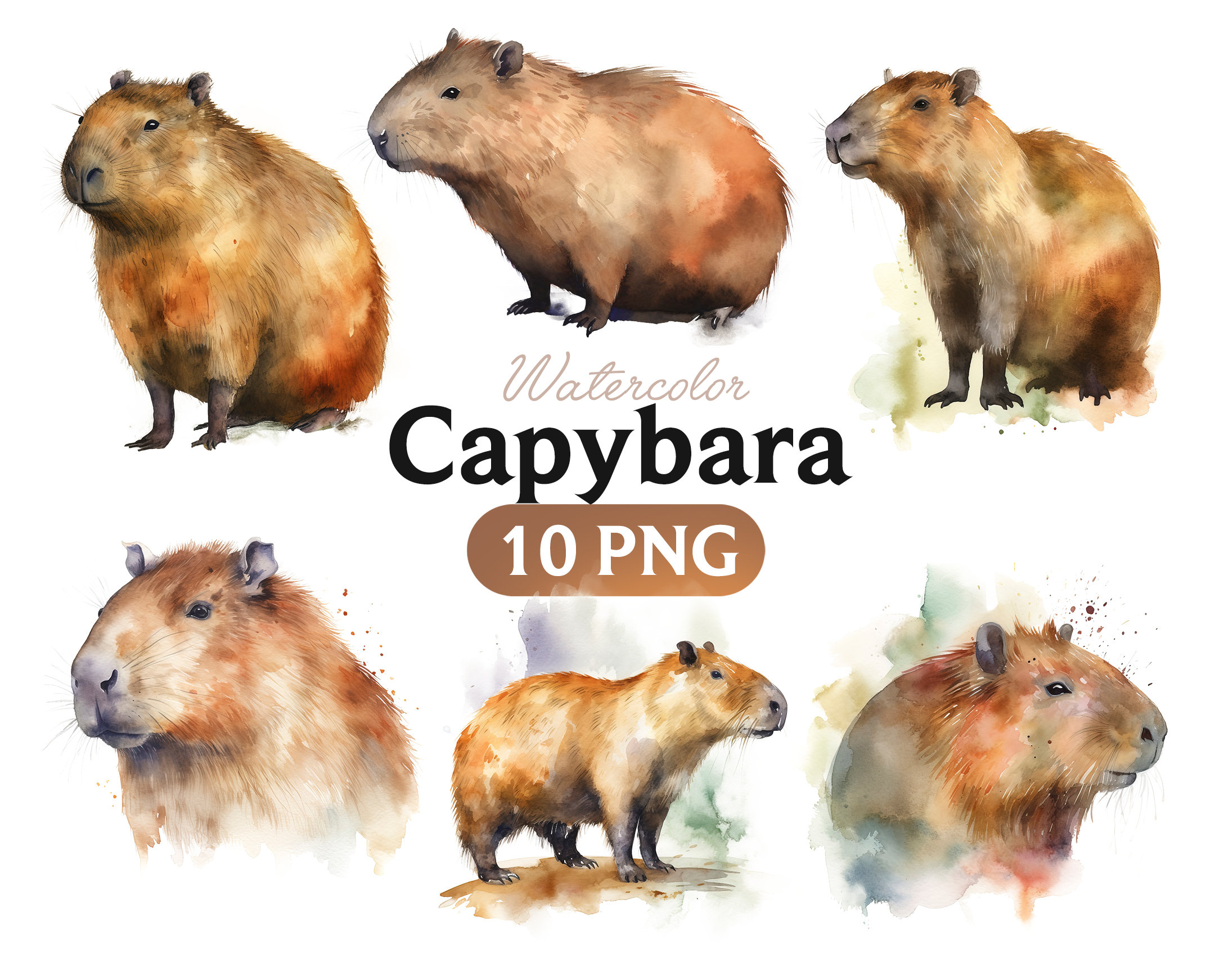 Watercolor Capybara Capybara PNG Capybara Clipart - Etsy