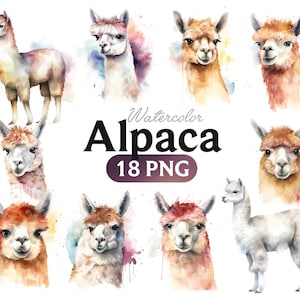 Watercolor Alpaca Clipart, Farm Animals PNG, Nursery Wall Art, Baby ...