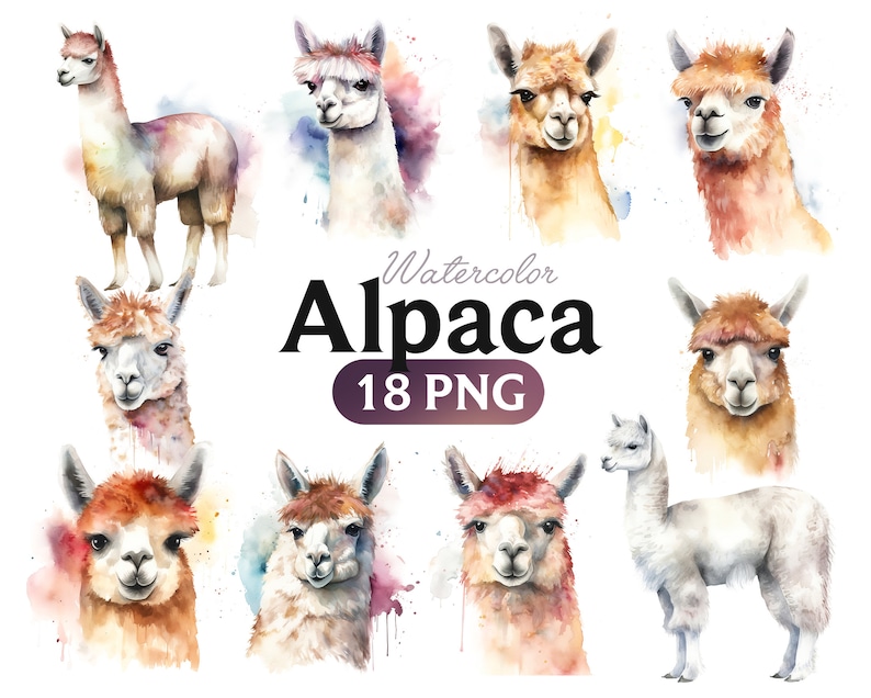 Watercolor Alpaca Clipart Farm Animals PNG Nursery Wall Art - Etsy