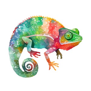 Chameleon Watercolor, Chameleon Clipart, Chameleon PNG, Lizard PNG ...