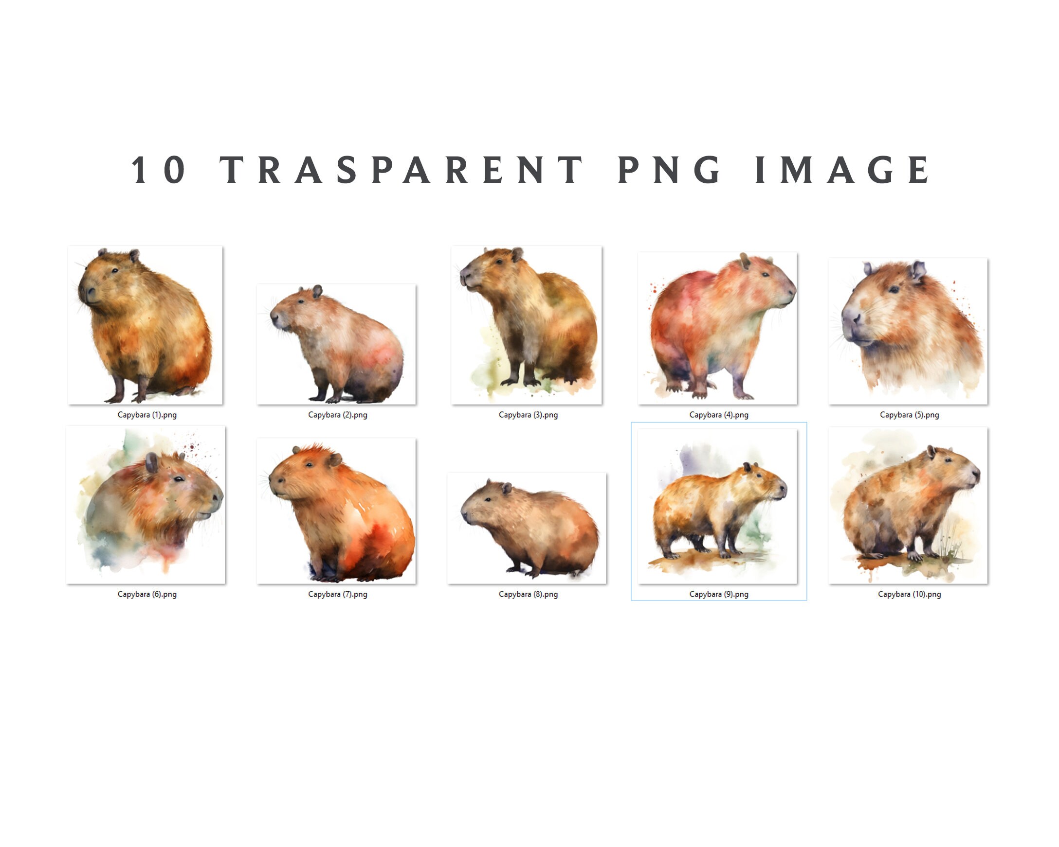 Watercolor Capybara Capybara PNG Capybara Clipart - Etsy