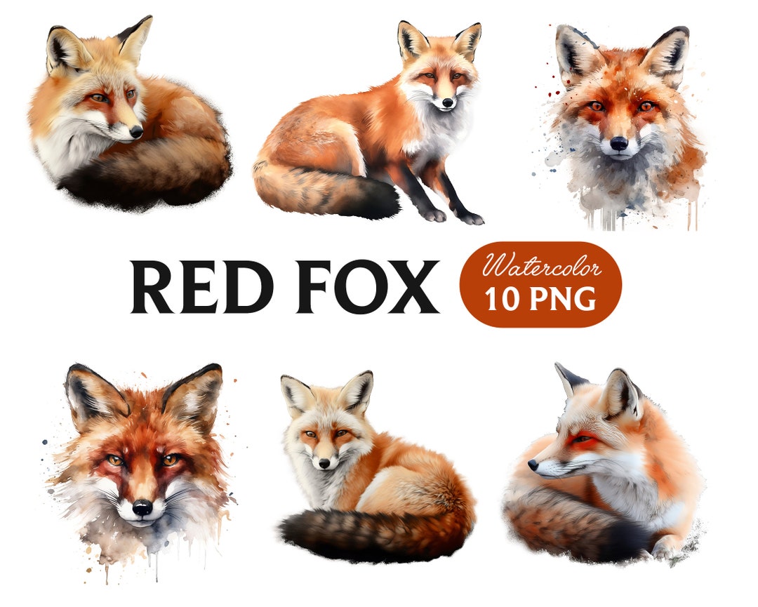 Watercolor Fox Clipart, Cute Fox PNG, Woodland Animals Clipart, Nursery ...