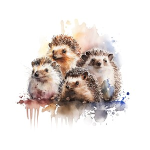 Hedgehog Png, Watercolor Hedgehog, Hedgehog Clipart, Hedgehog PNG ...