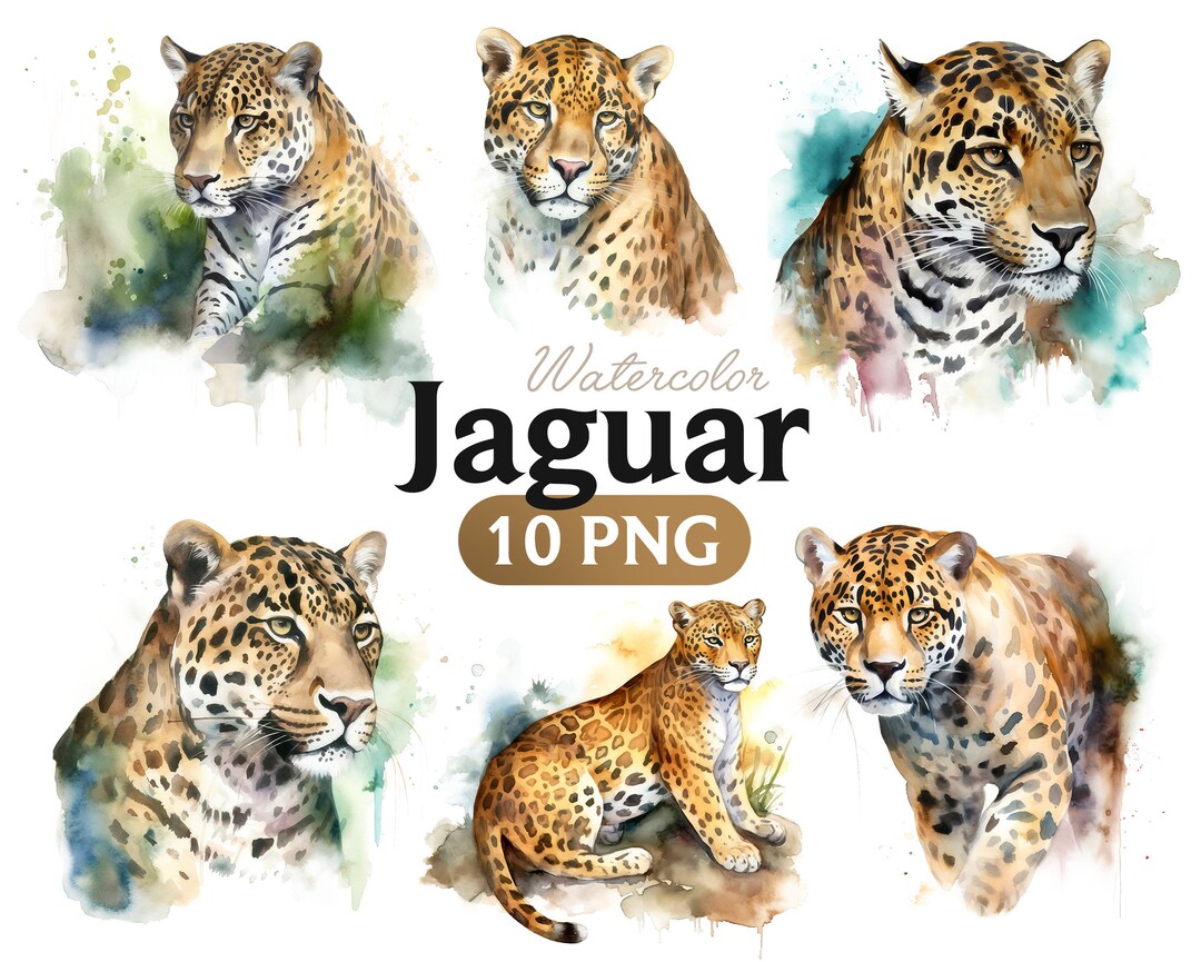 Jaguar Watercolor, Jaguar PNG, Jaguar Clipart, Safari Wildlife, Animal ...