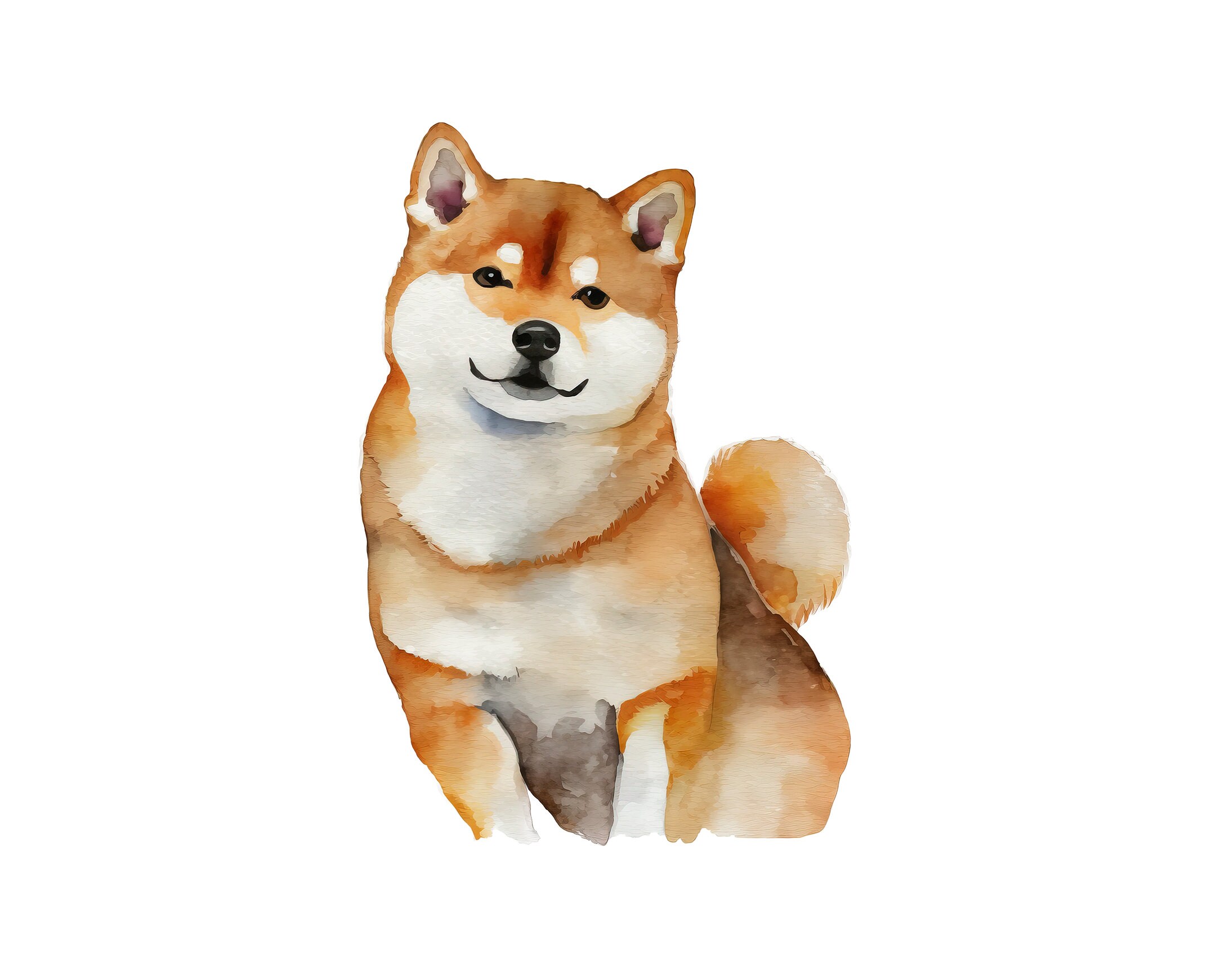 Shiba Inu Clipart Shiba Inu Watercolor Shiba Inu Png Puppy - Etsy
