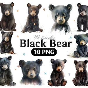 Black Bear Watercolor Clipart, Cute Black Bear Graphics, Nursery Decor ...