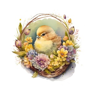 Easter Chicks Clipart Bundle, Easter Png, Cute Baby Chickens, Easter ...
