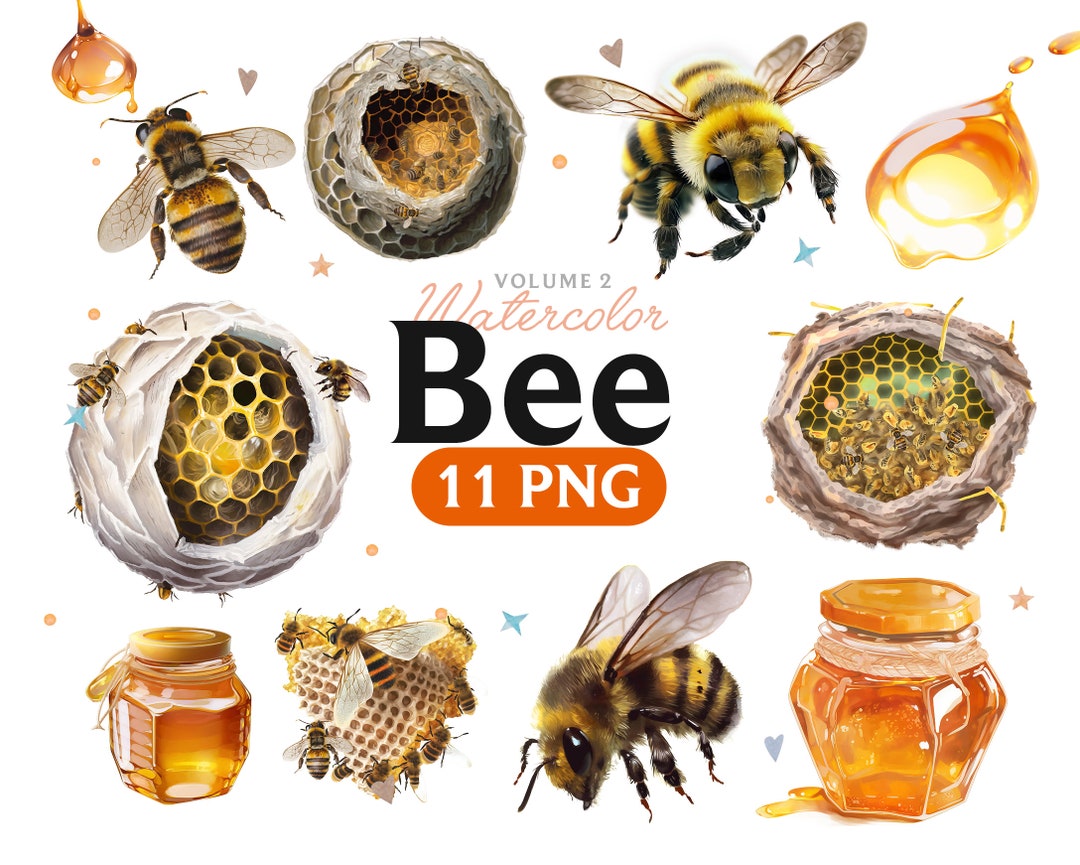 Watercolor Honeybee Clipart Bundle: Summer Flower Graphics (11 PNG ...