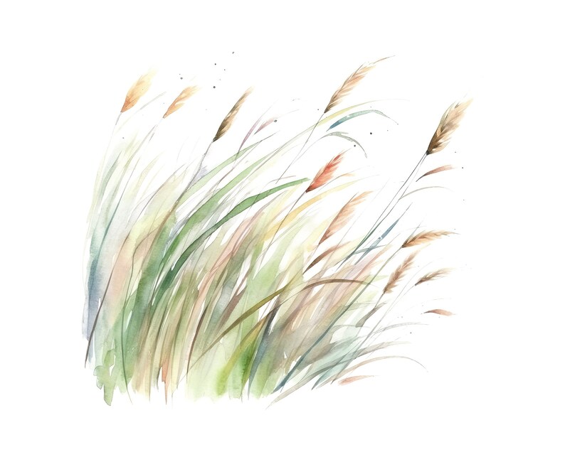 Watercolor Grass Clipart Spring Tufts of Grass Botanical PNG - Etsy